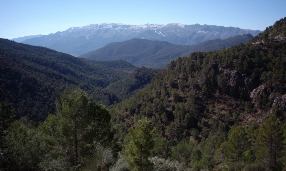 Parque natural de las Sierras de Cazorla, Segura y Las Villas