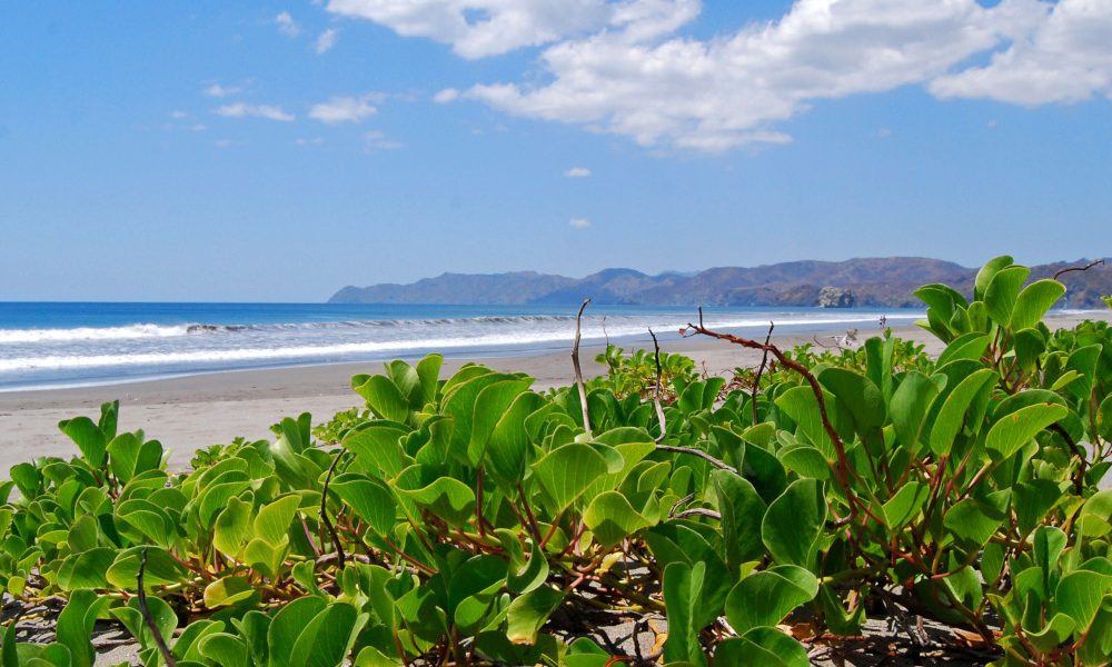 Parque Nacional de Santa Rosa