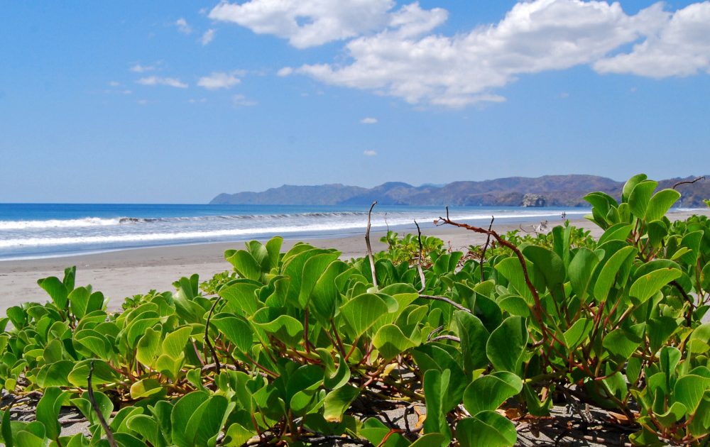 Parque Nacional de Santa Rosa